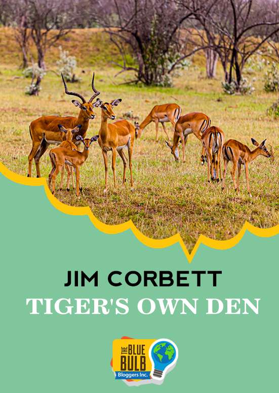 Jim Corbett: Tiger’s Own Den – Classroam Wall